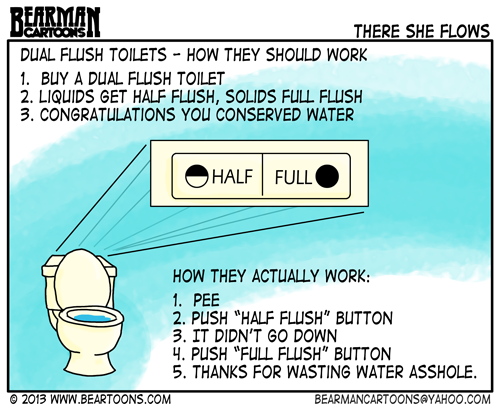 How to Operate a Dual Flush Toilet - Bearman Cartoons